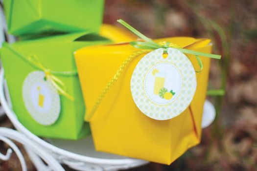 SWEET Summer Lemonade Stand // Hostess with the Mostess®