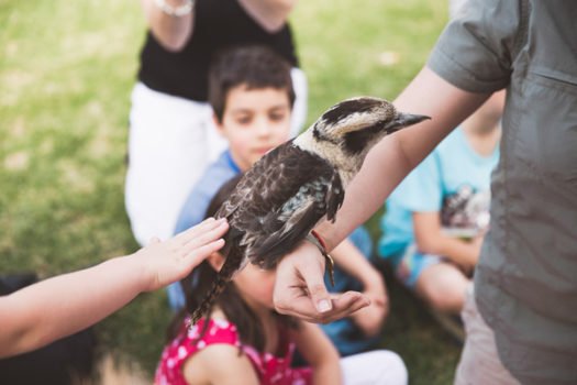 Modern Australian Animal Inspired Birthday Party // Hostess with the ...