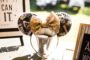Disney Inspired Graduation Party Ideas // Hostess with the Mostess®